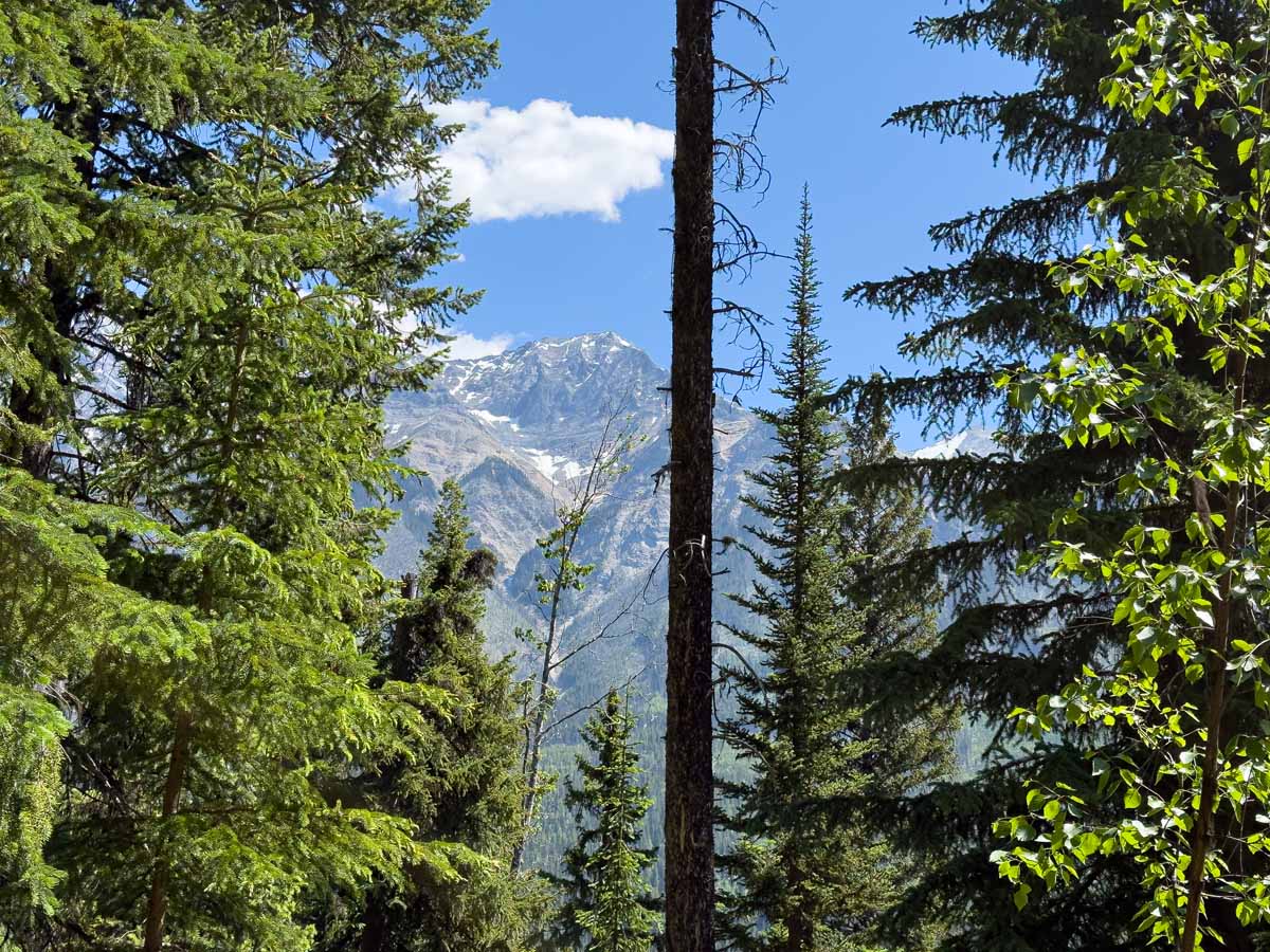 Wapta Falls Hike – Yoho National Park - Travel Banff Canada