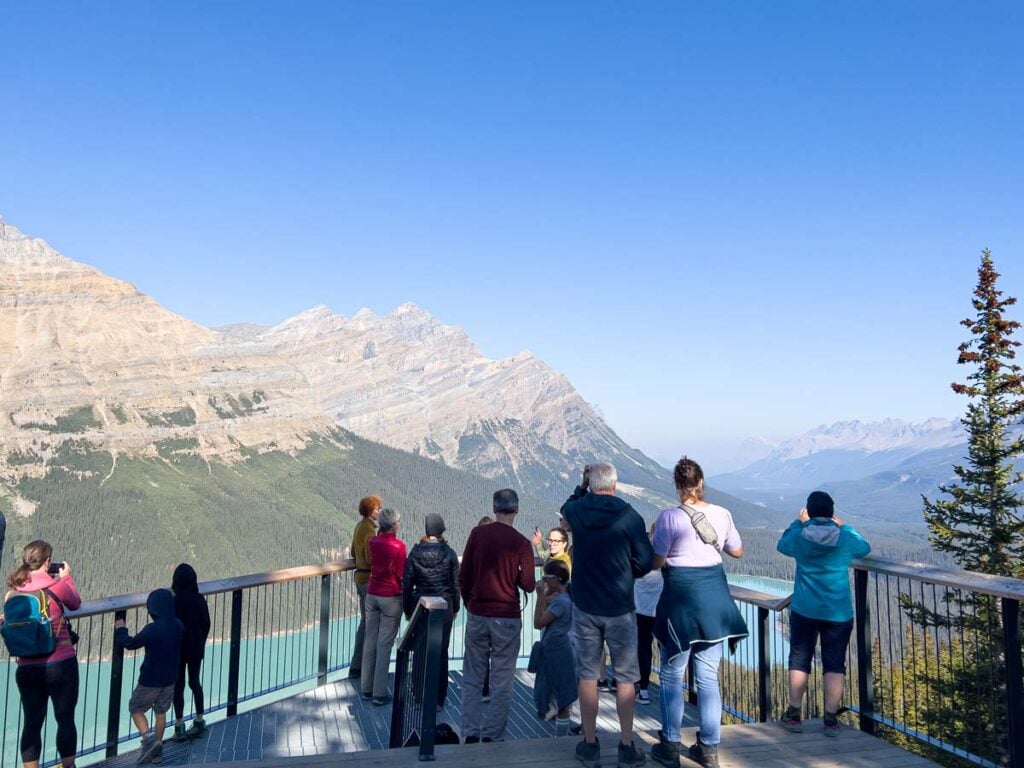 A Guide to Peyto Lake in Banff National Park - Travel Banff Canada