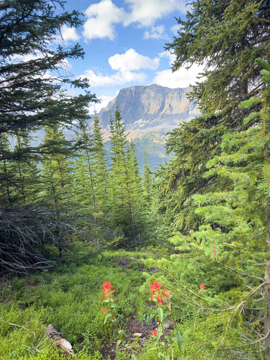 Helen Lake Trail – Banff National Park - Travel Banff Canada