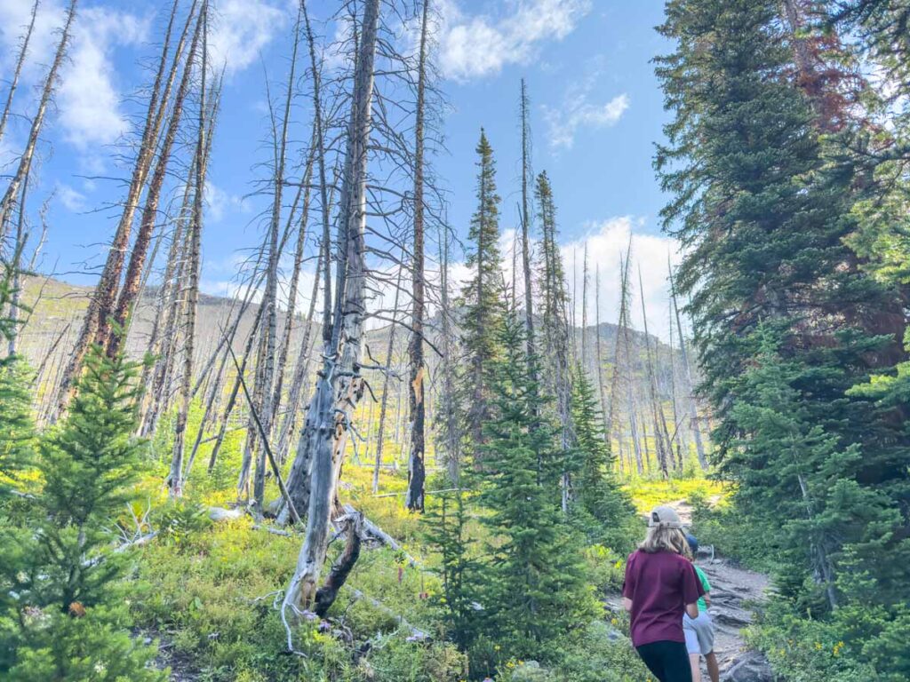 Helen Lake Trail – Banff National Park - Travel Banff Canada