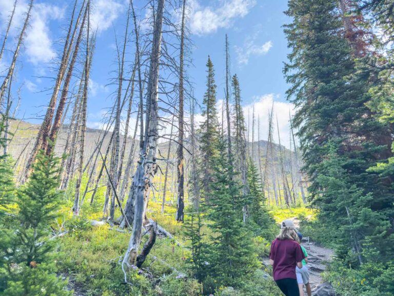 Helen Lake Trail – Banff National Park - Travel Banff Canada