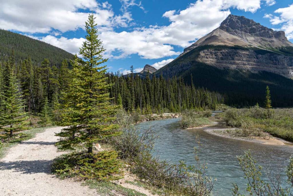 Beauty Creek to Stanley Falls Hike – Jasper National Park - Travel ...