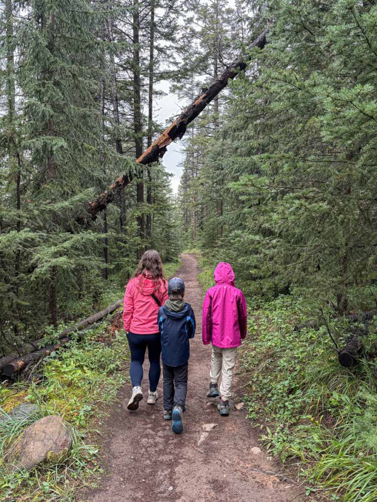 7 Easy Hikes Near Jasper - Travel Banff Canada