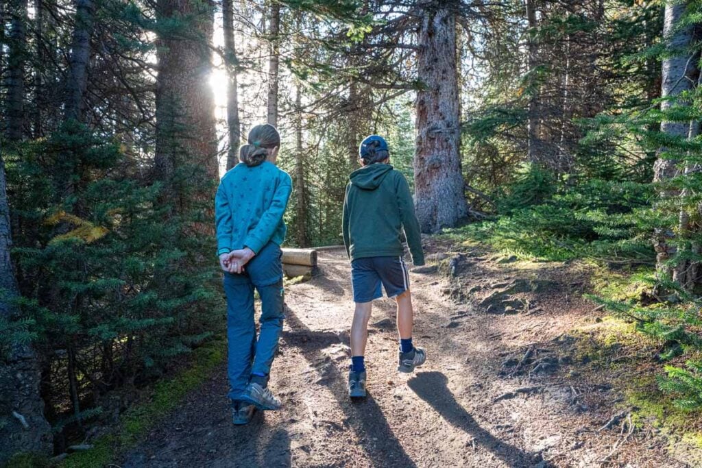 Parker Ridge Trail – Banff National Park - Travel Banff Canada