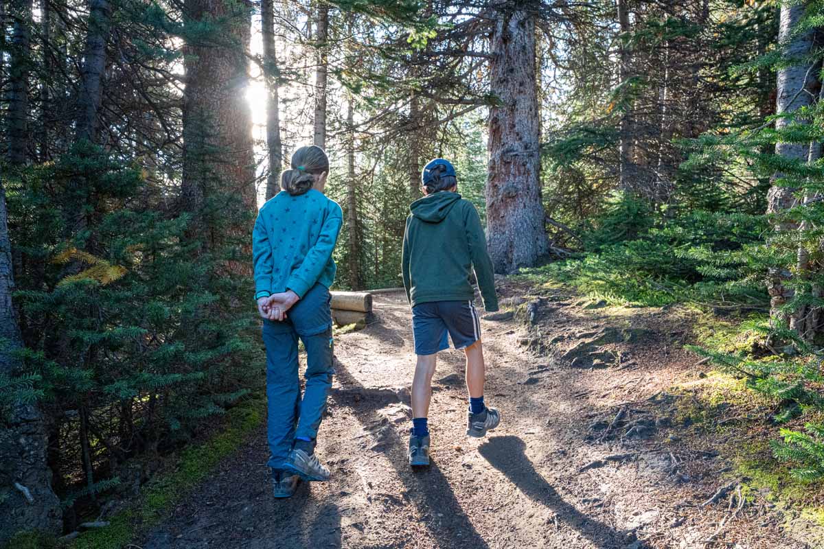 Parker Ridge Trail – Banff National Park - Travel Banff Canada