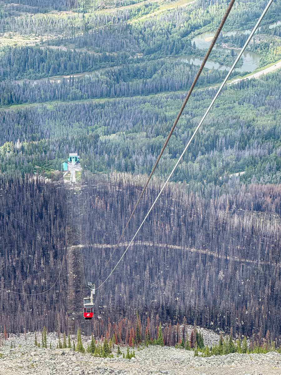Jasper SkyTram - Everything You Need to Know for Your Visit - Travel ...