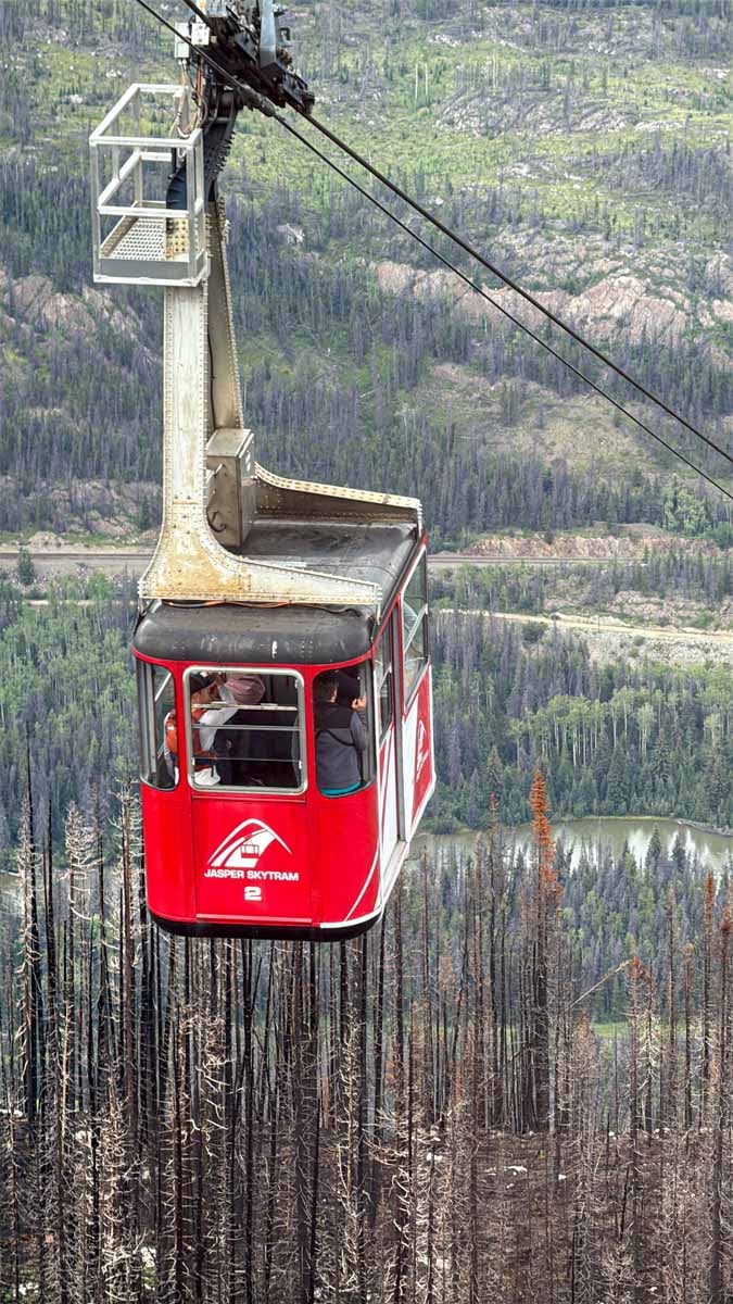 Jasper SkyTram - Everything You Need to Know for Your Visit - Travel ...