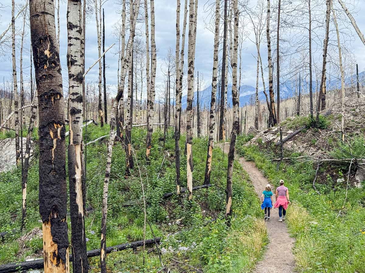 Old Fort Point Loop - Jasper National Park - Travel Banff Canada