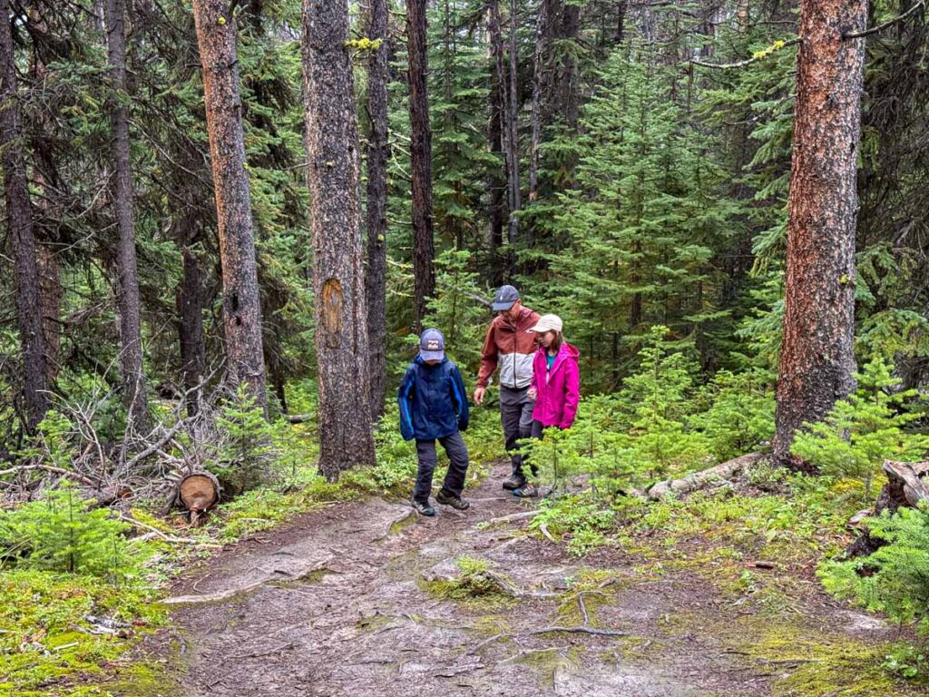 Opal Hills Loop Trail - Jasper National Park - Travel Banff Canada