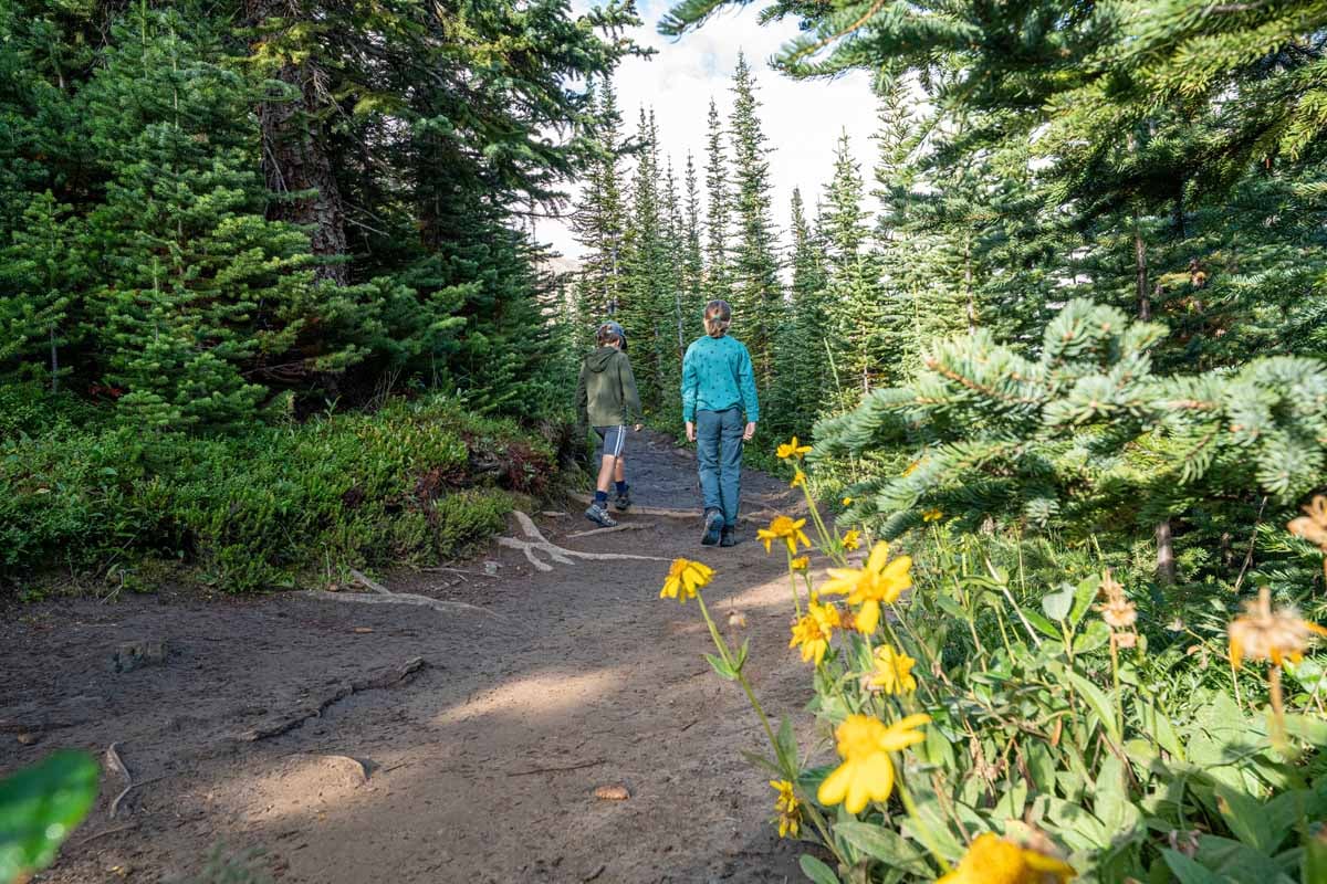 Parker Ridge Trail – Banff National Park - Travel Banff Canada
